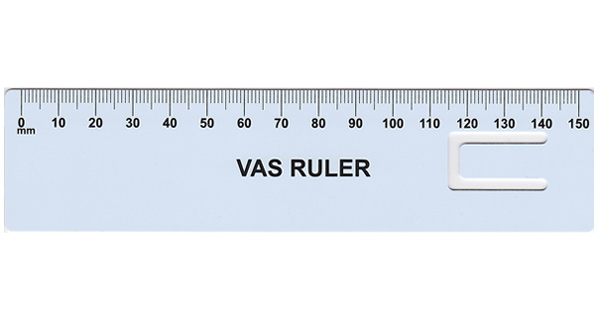 VAS Ruler with a Clip: Personalized Rulers, Custom Rulers by Schlenker ...